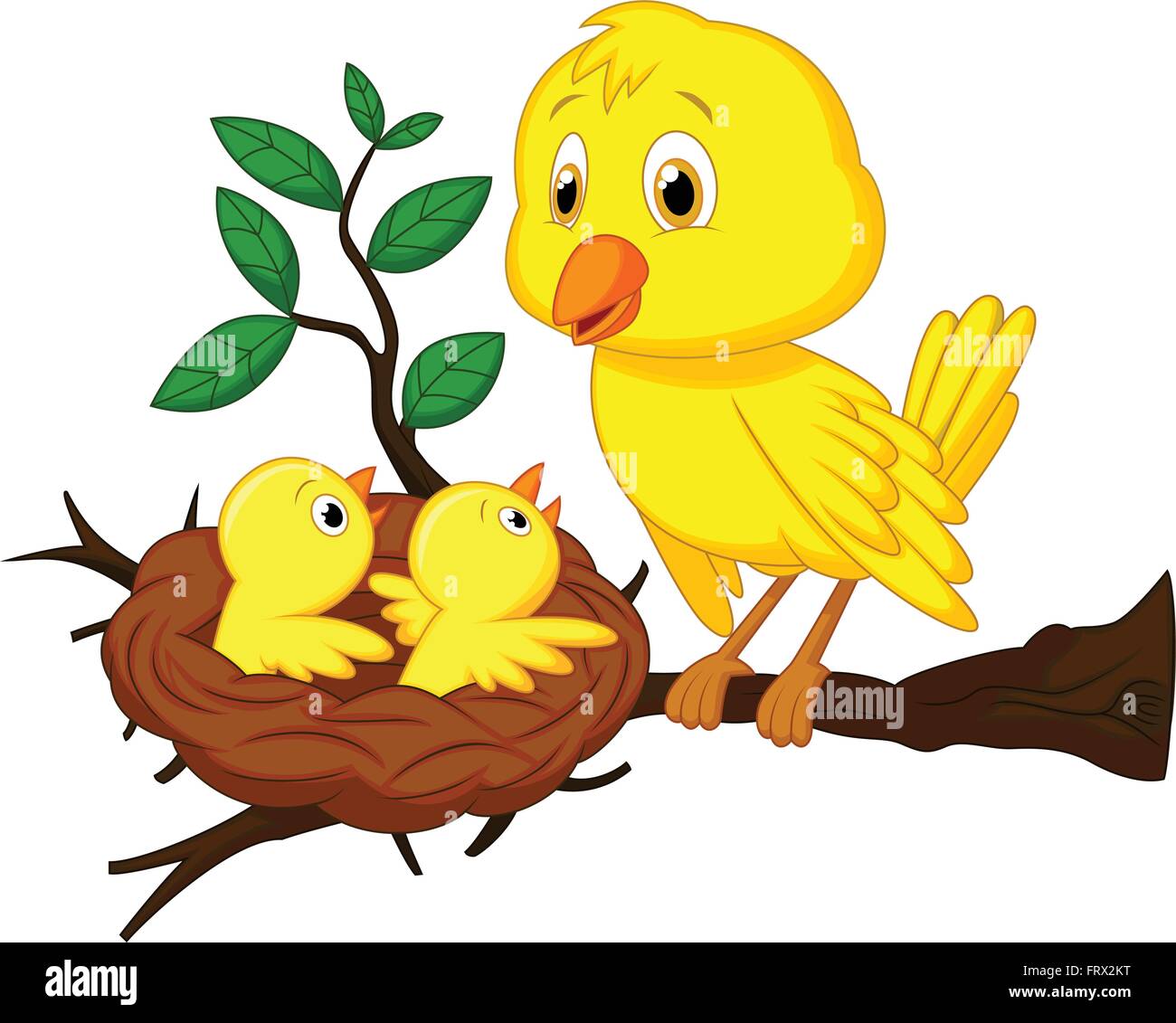 Oiseau nourrir ses jeunes Banque d'images vectorielles - Alamy
