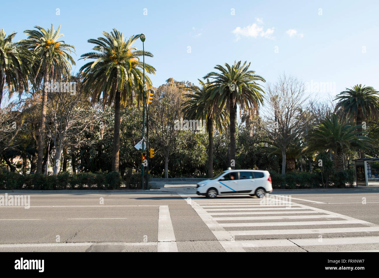 Paseo del parque malaga Banque de photographies et d’images à haute ...