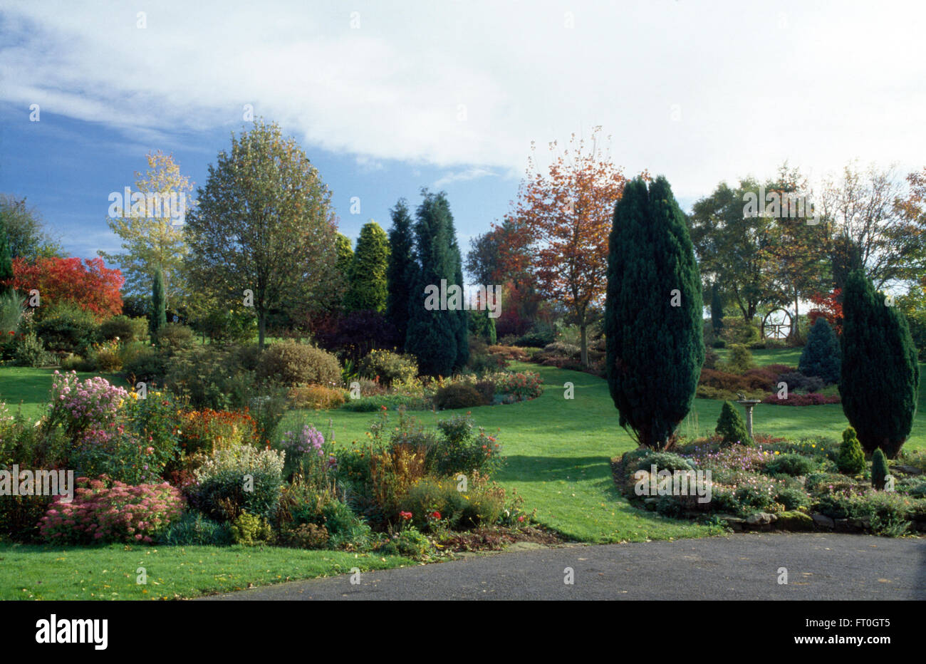 Grands conifères dans un grand jardin bien entretenu, pays avec de ...