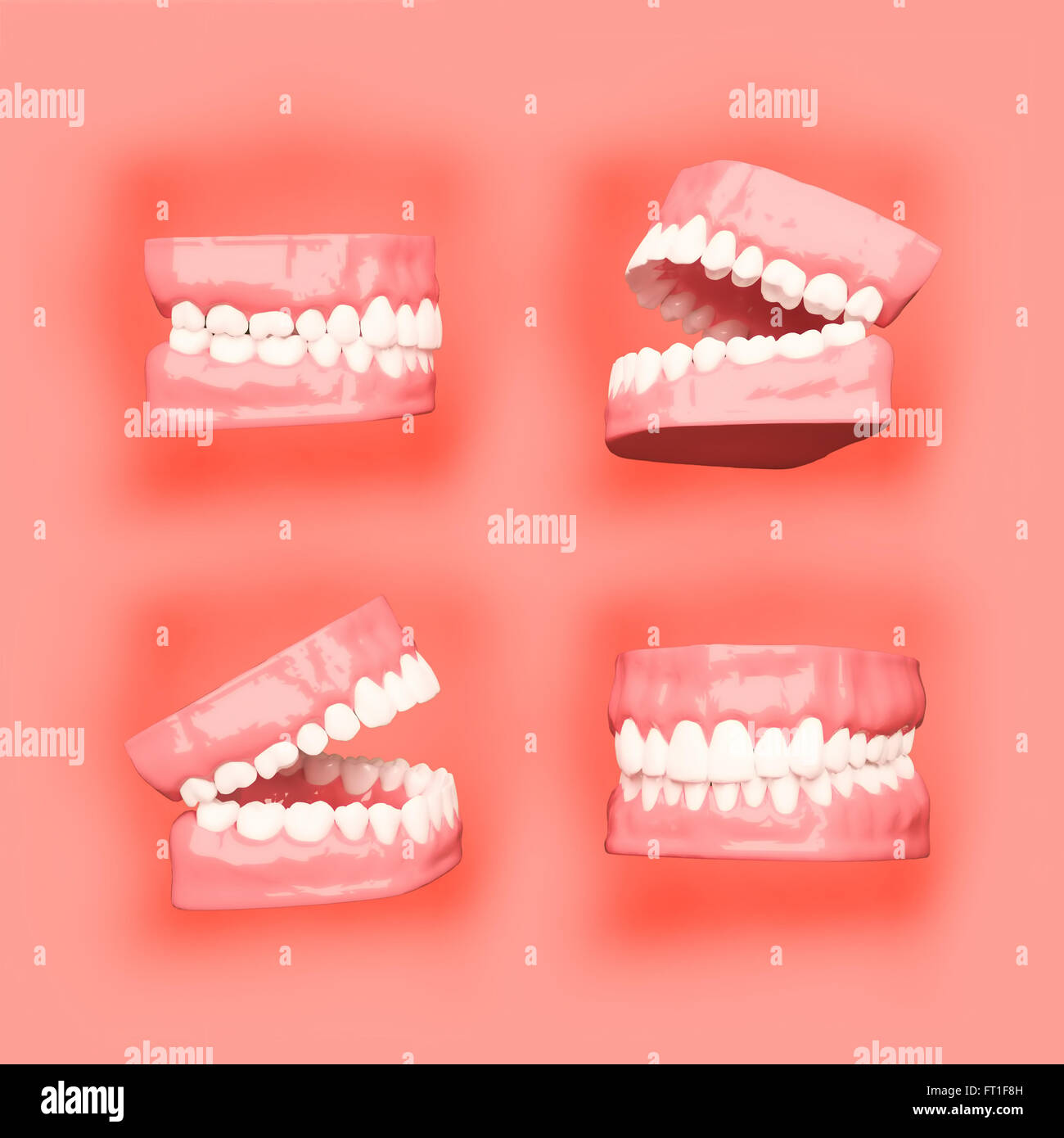 Les dents ou 3D illustration de la dent, les vues en perspective dans ...