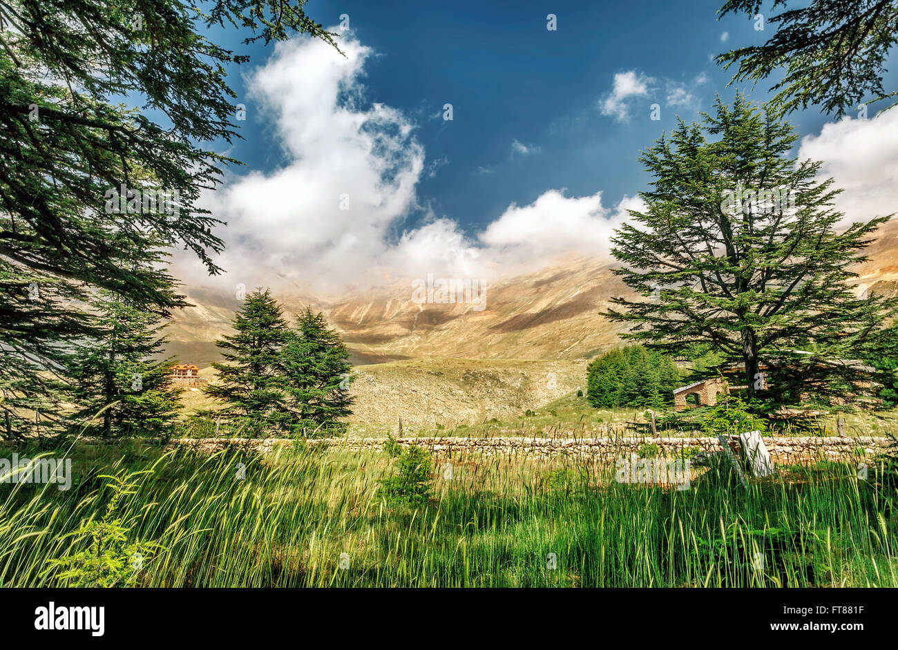 Lebanese nature reserve Banque de photographies et d’images à haute résolution - Alamy