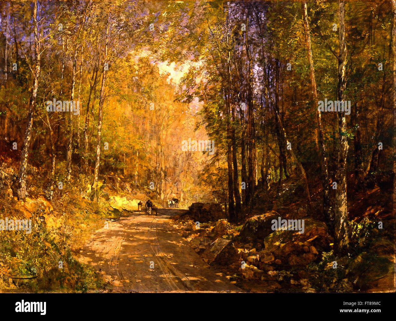 Vienna forest Banque de photographies et d’images à haute résolution ...