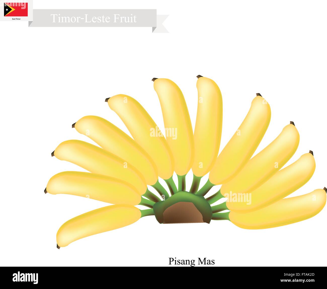 Timor-Leste Fruits, Illustration de Pisang Mas ou Golden Banana. L'un ...