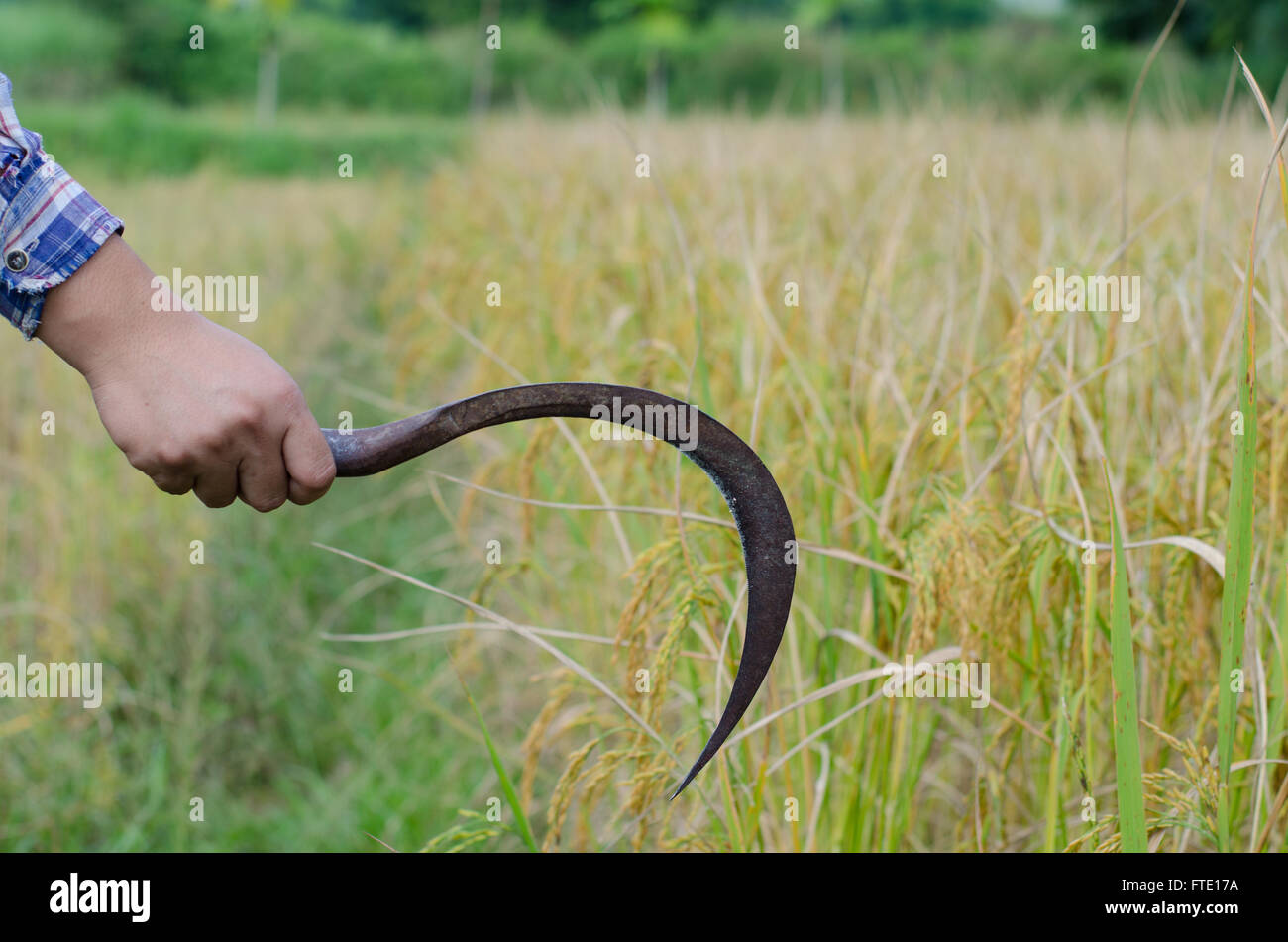 Outil de la ferme de la faucille Banque de photographies et d’images à ...