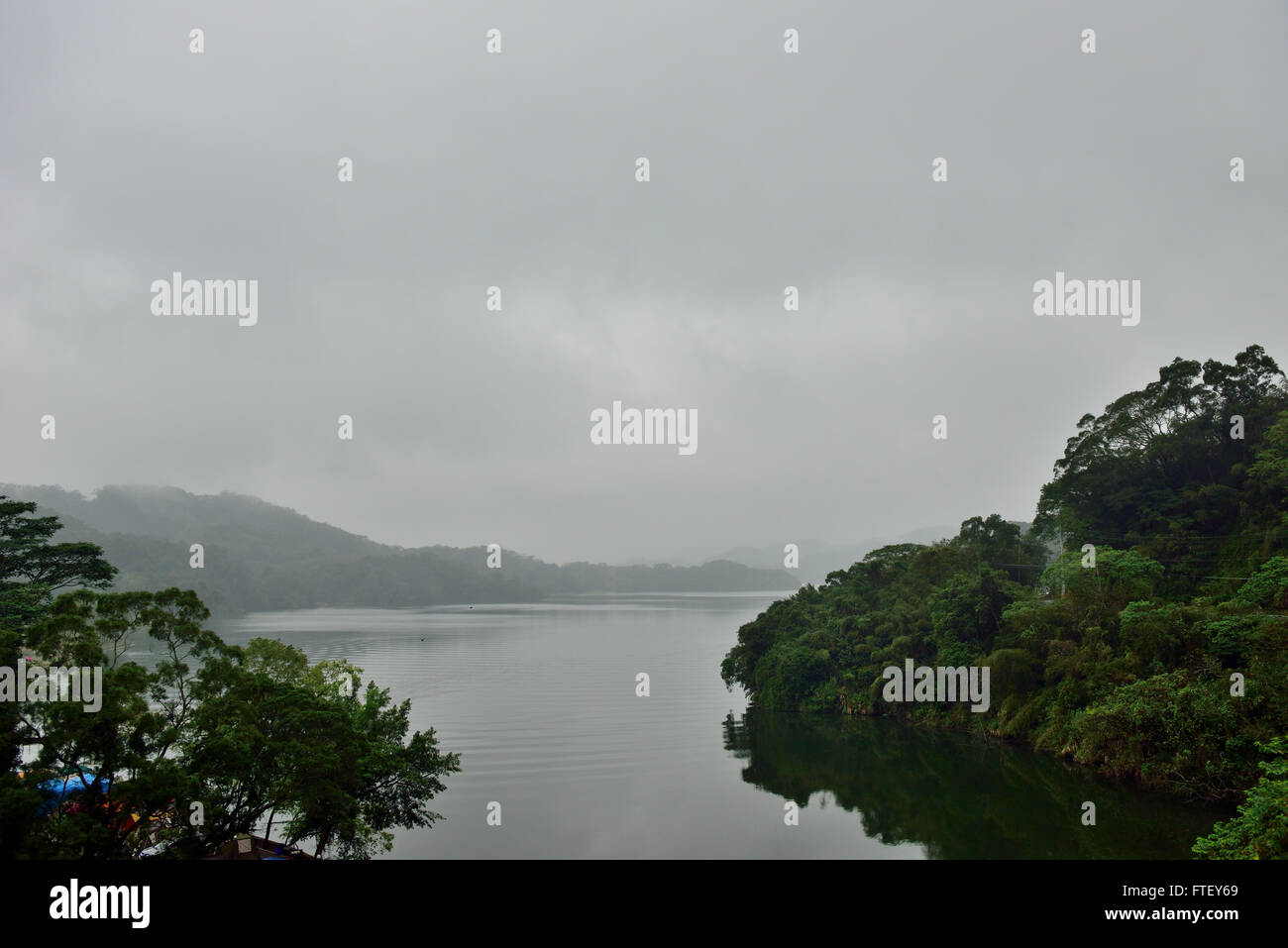 Sortes de poissons Banque de photographies et d’images à haute ...