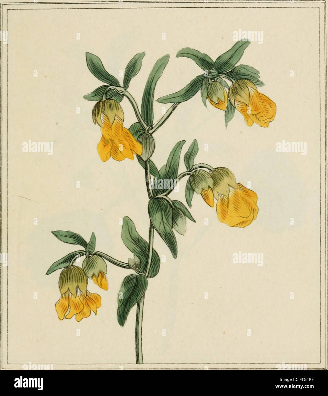 Éléments de la science de la botanique, comme établi par Linné ; avec ...