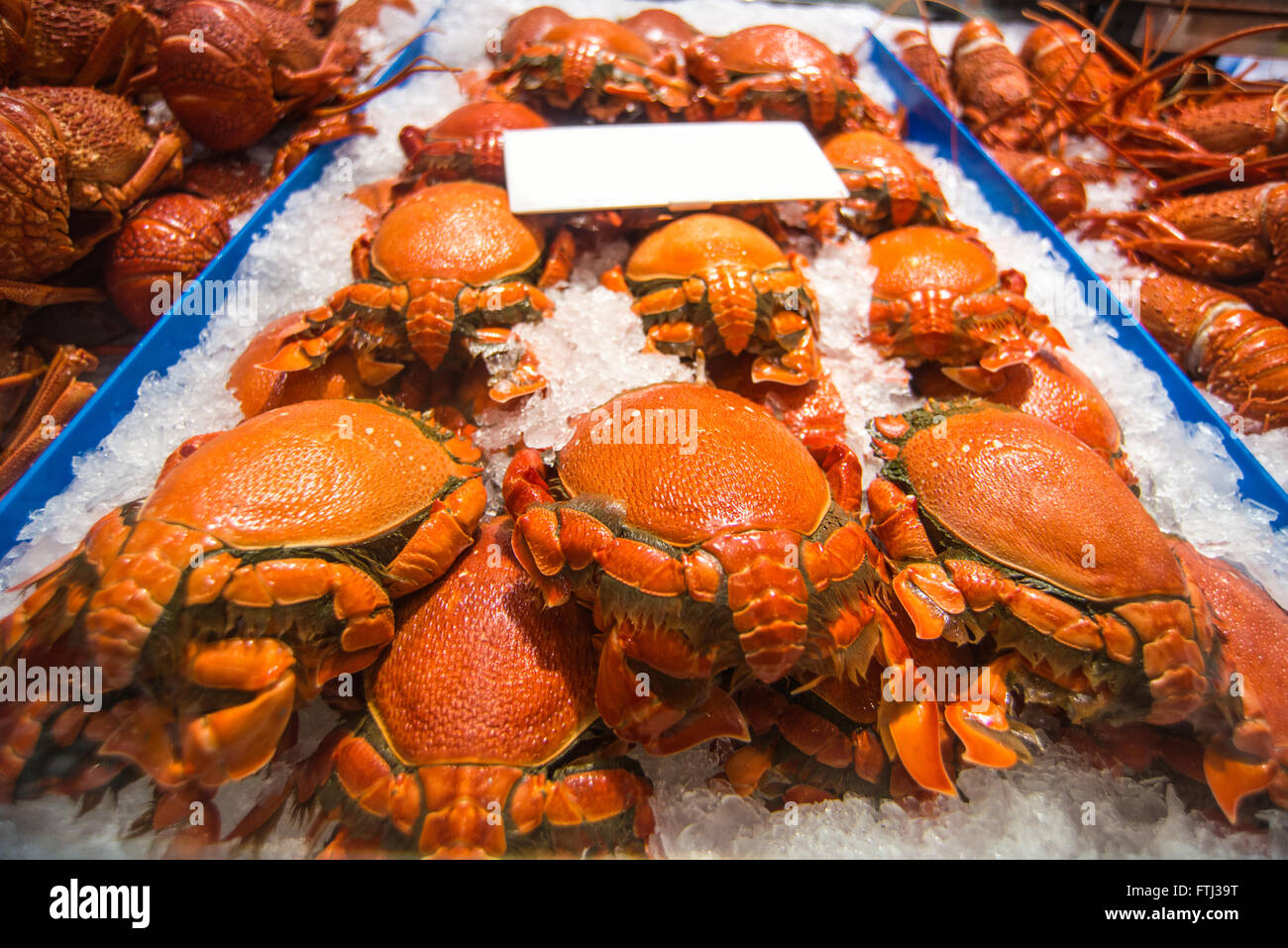 Crabe royal Banque de photographies et d’images à haute résolution - Alamy