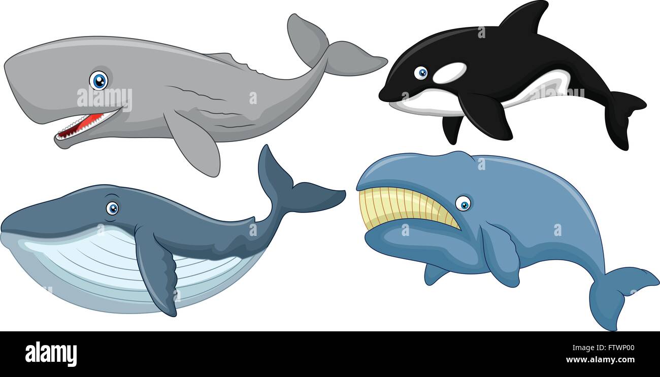 Cartoon whale Banque d'images détourées - Alamy