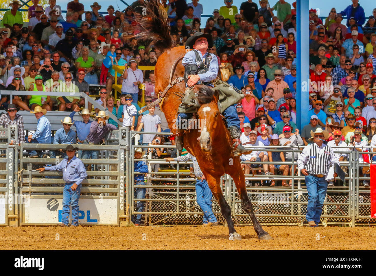 Rodeo cowboy Banque de photographies et d’images à haute résolution - Alamy