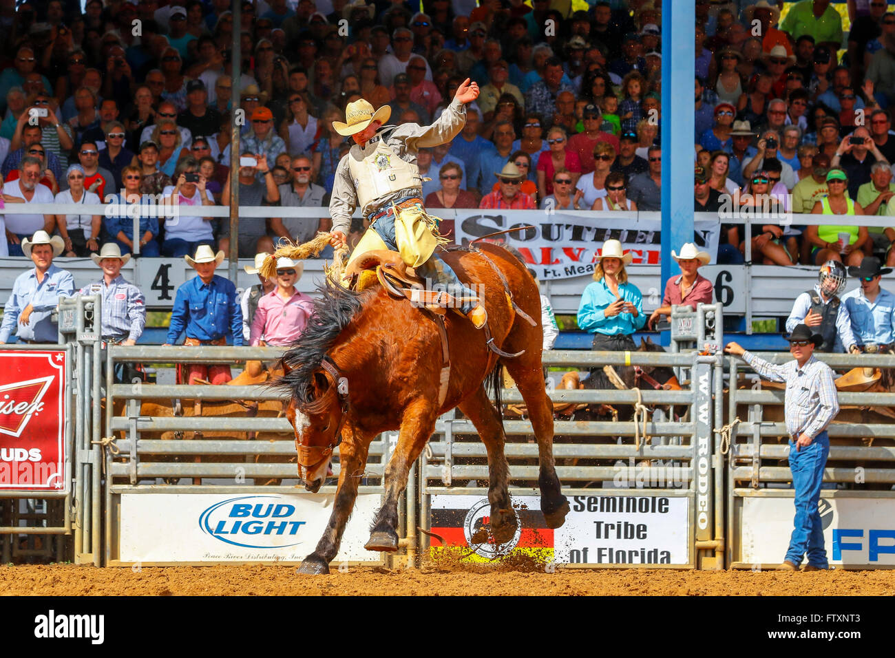 Rodeo cowboy Banque de photographies et d’images à haute résolution - Alamy
