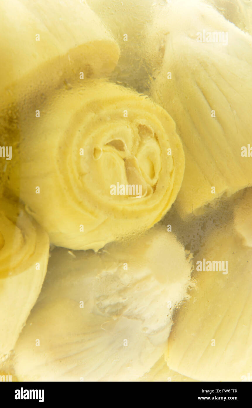 Artichauts en conserve Banque de photographies et d’images à haute ...