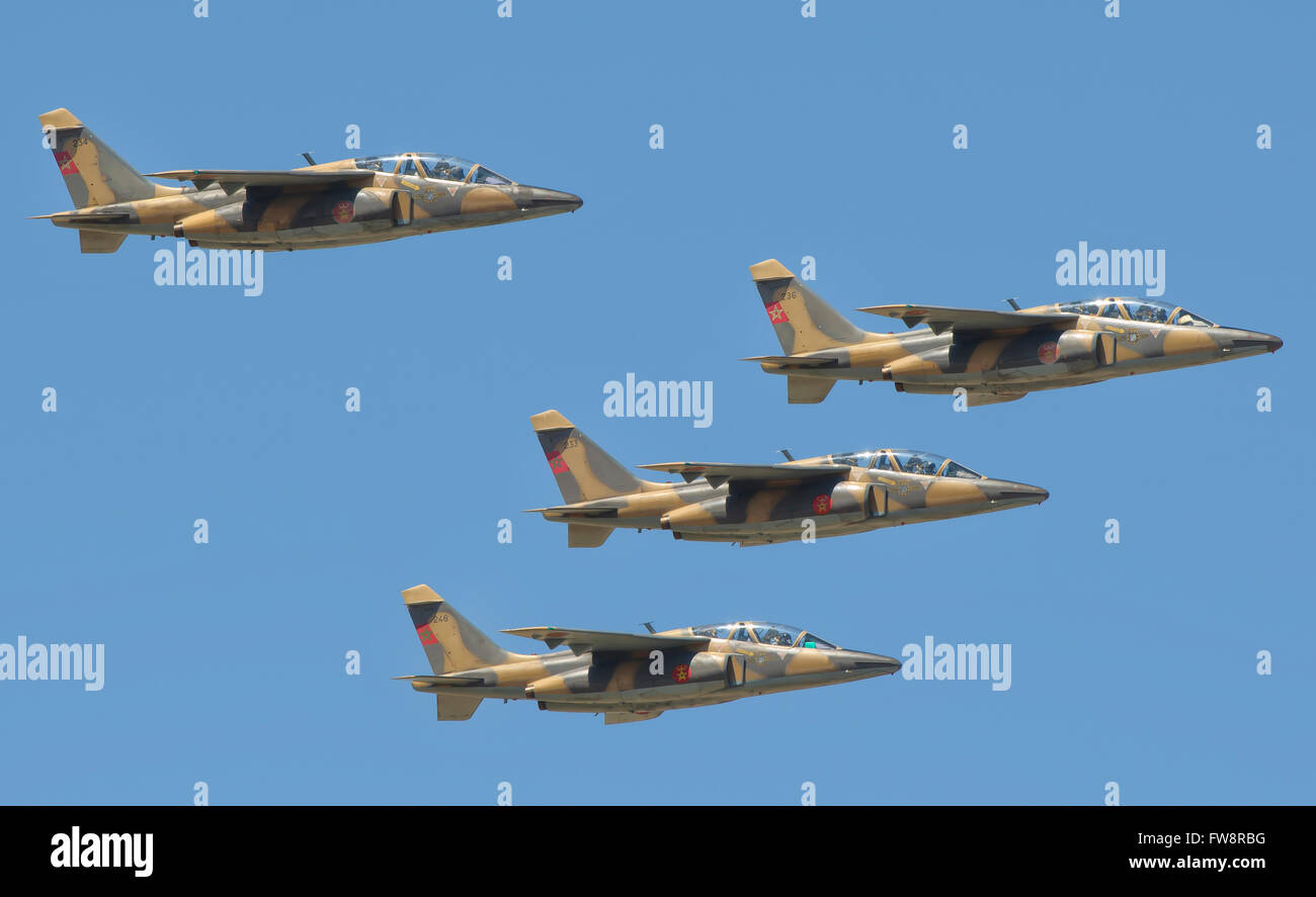 La Force aérienne royale marocaine des Alpha Jets volant à l'Marrakech ...