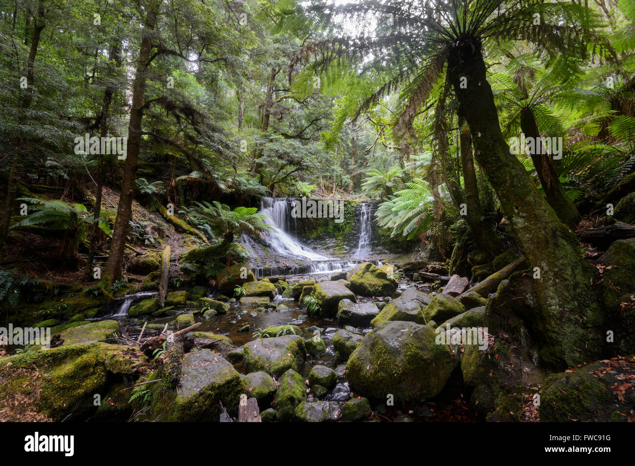 Mt field Banque de photographies et d’images à haute résolution - Alamy