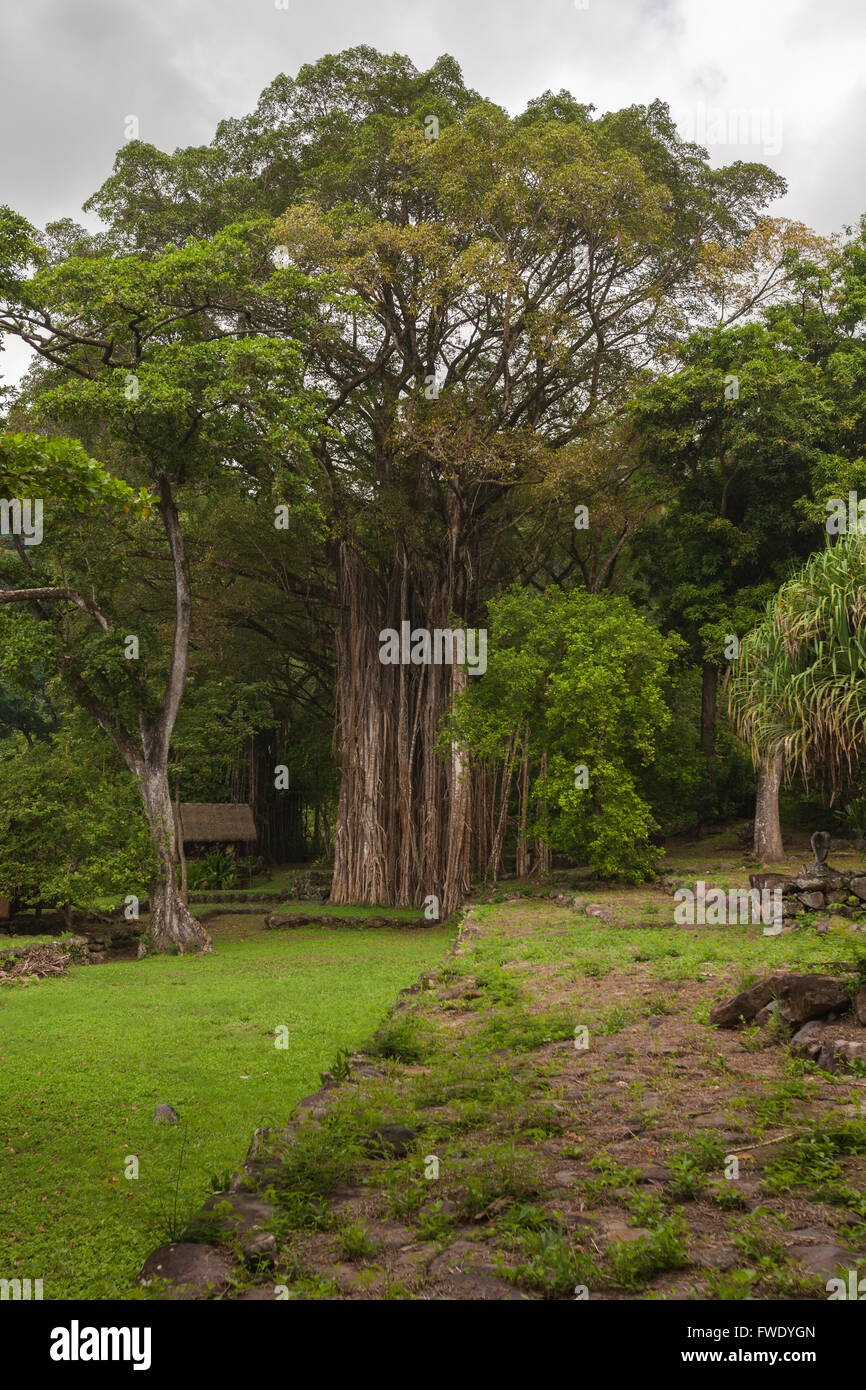 Tohua koueva Banque de photographies et d’images à haute résolution - Alamy