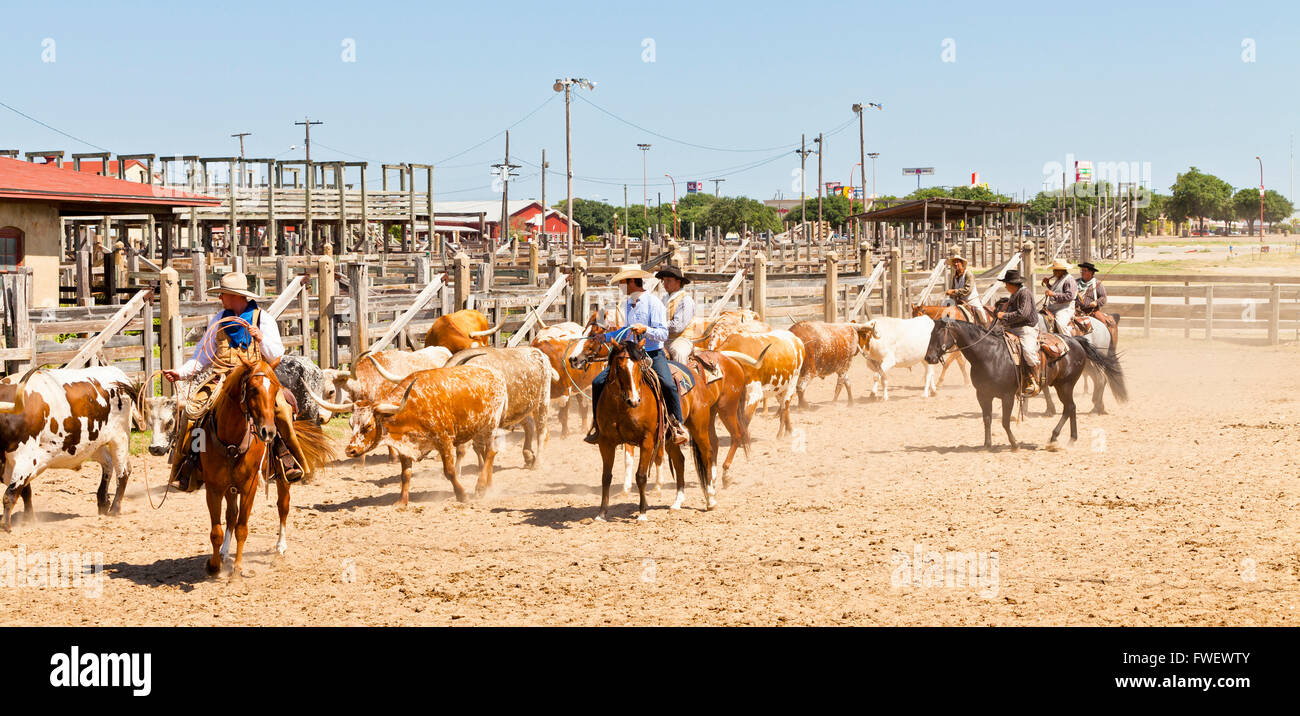Cowboys du texas Banque de photographies et d’images à haute résolution ...