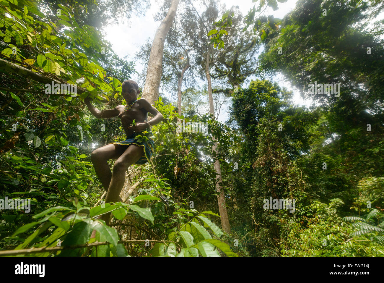Les Pygmées Bayaka dans la forêt équatoriale, République centrafricaine ...