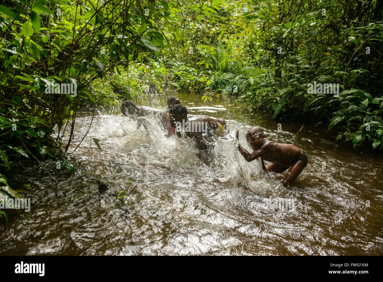 Pygmees d'afrique Banque de photographies et d’images à haute ...