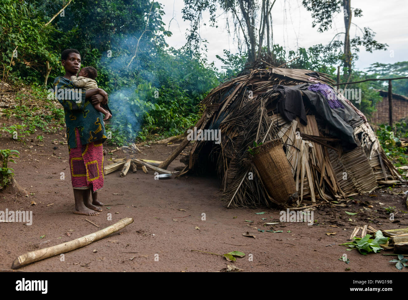 Les Pygmées Bayaka dans la forêt équatoriale, République centrafricaine ...
