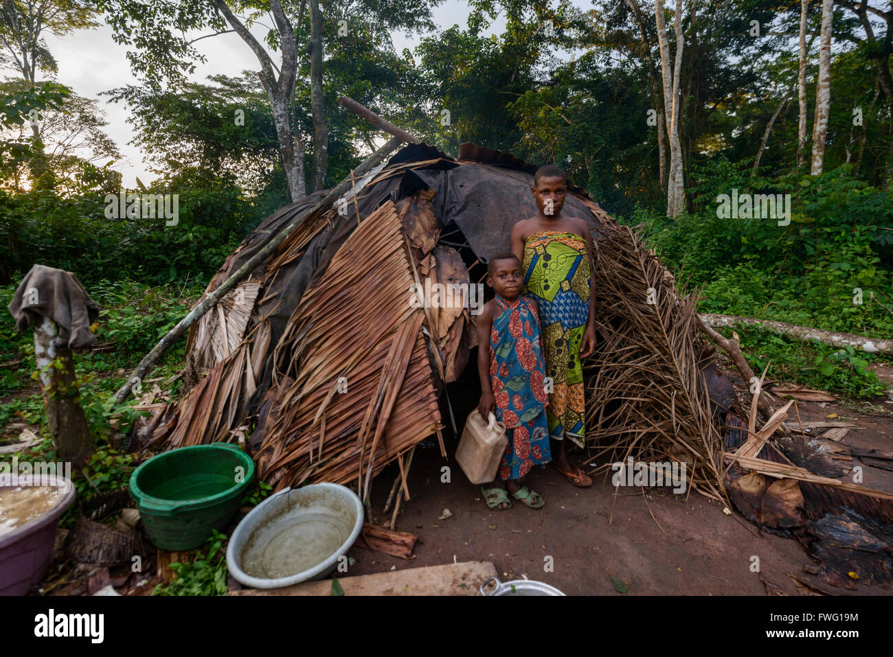 Les Pygmées Bayaka dans la forêt équatoriale, République centrafricaine ...