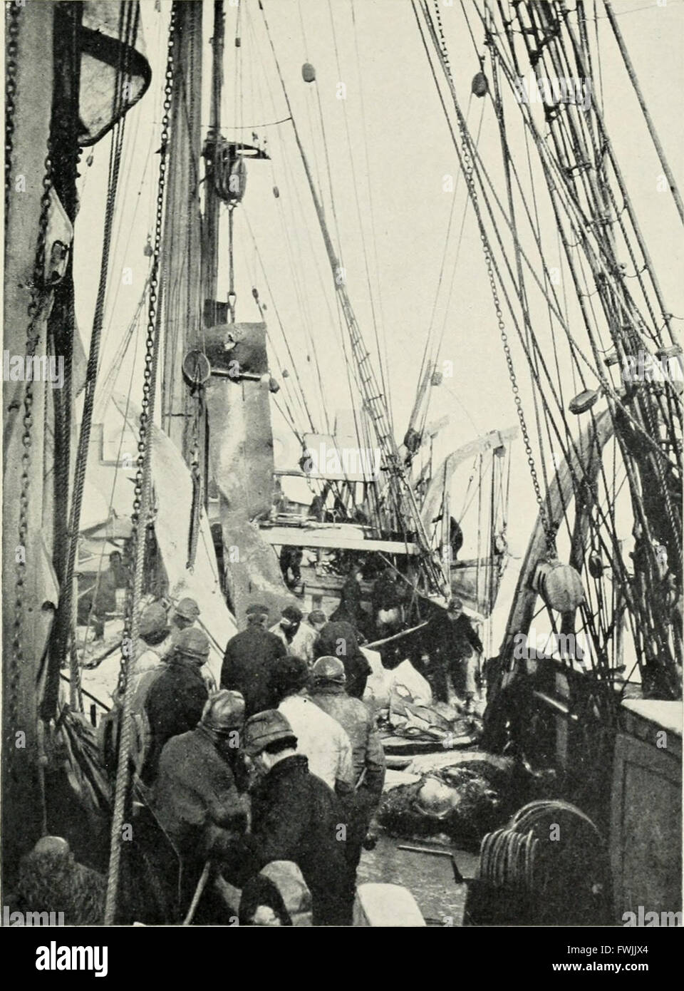 Baleinier dessin Banque de photographies et d’images à haute résolution ...