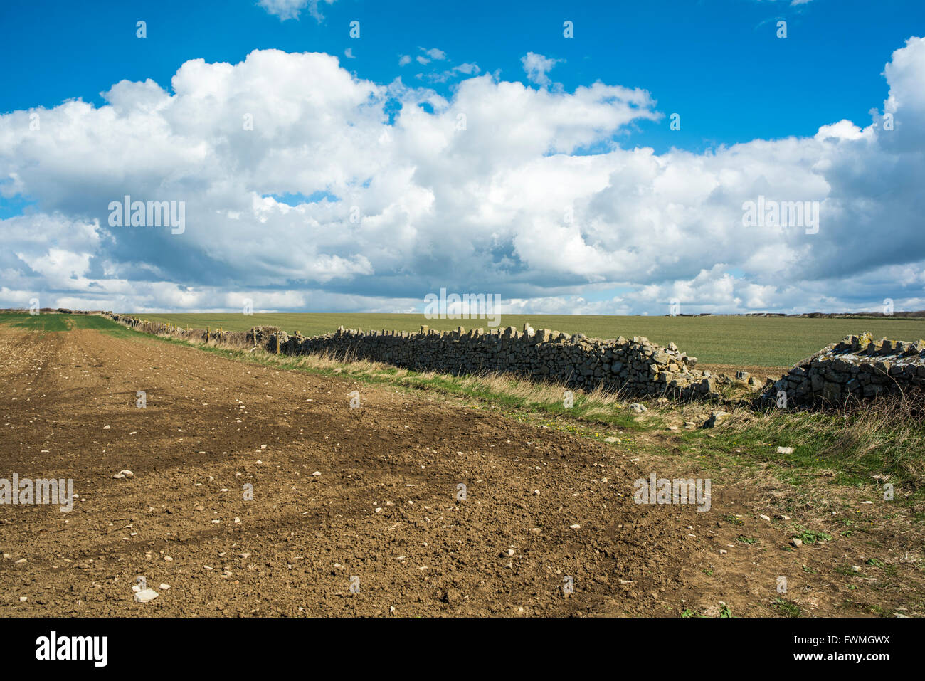 Pierre de champ Banque de photographies et d’images à haute résolution ...