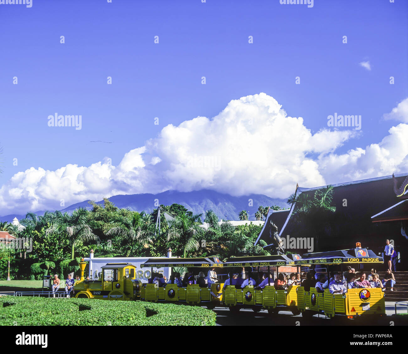 Loro park tenerife Banque de photographies et d’images à haute ...