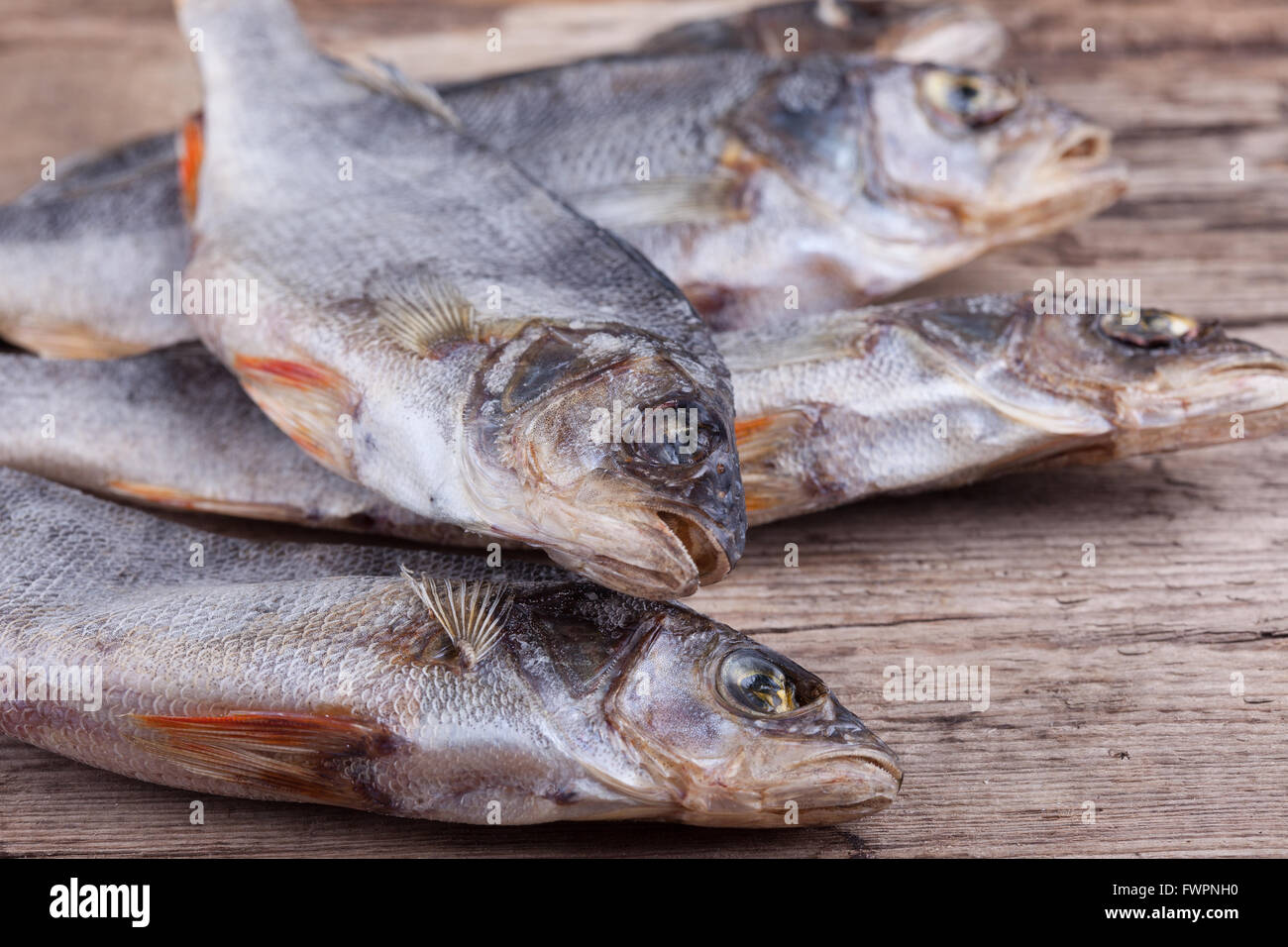 Manger de gros poissons Banque de photographies et d’images à haute ...