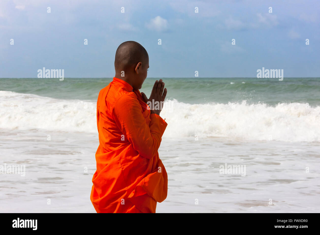 Sri lanka moine Banque de photographies et d’images à haute résolution - Alamy