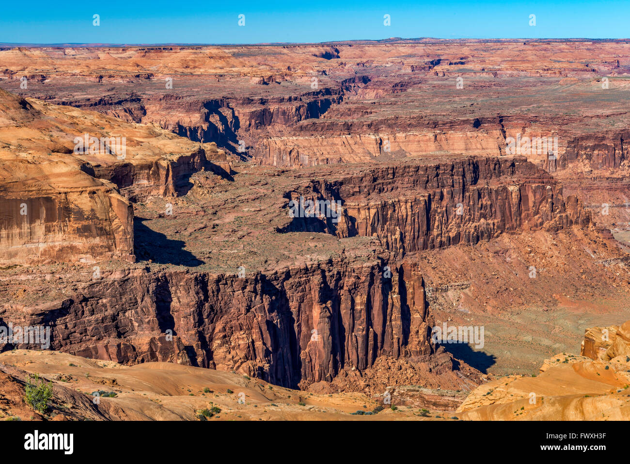 Dirty Devil River Canyon, depuis Burr point, Burr Desert, Off Trail of ...
