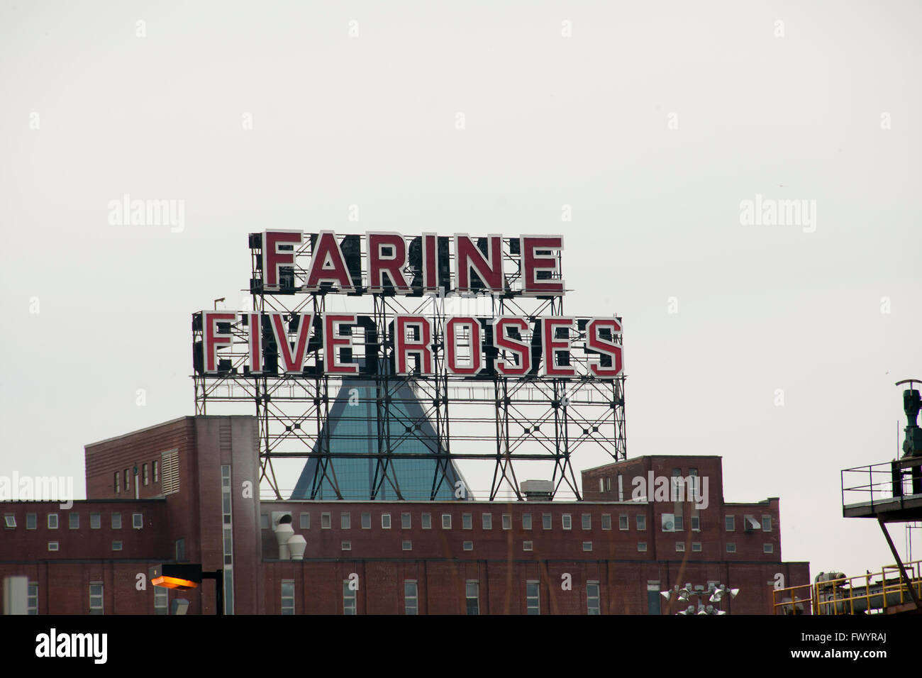 Five roses Banque de photographies et d’images à haute résolution - Alamy