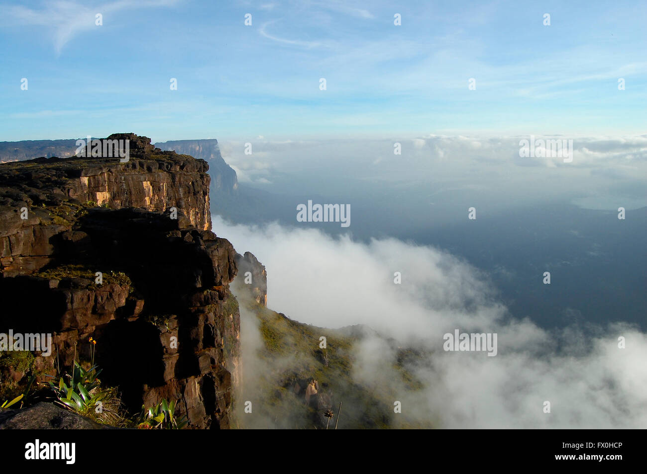Mount roraima Banque de photographies et d’images à haute résolution ...