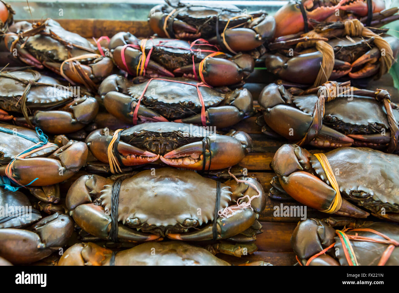 Crabes de mer Banque de photographies et d’images à haute résolution ...