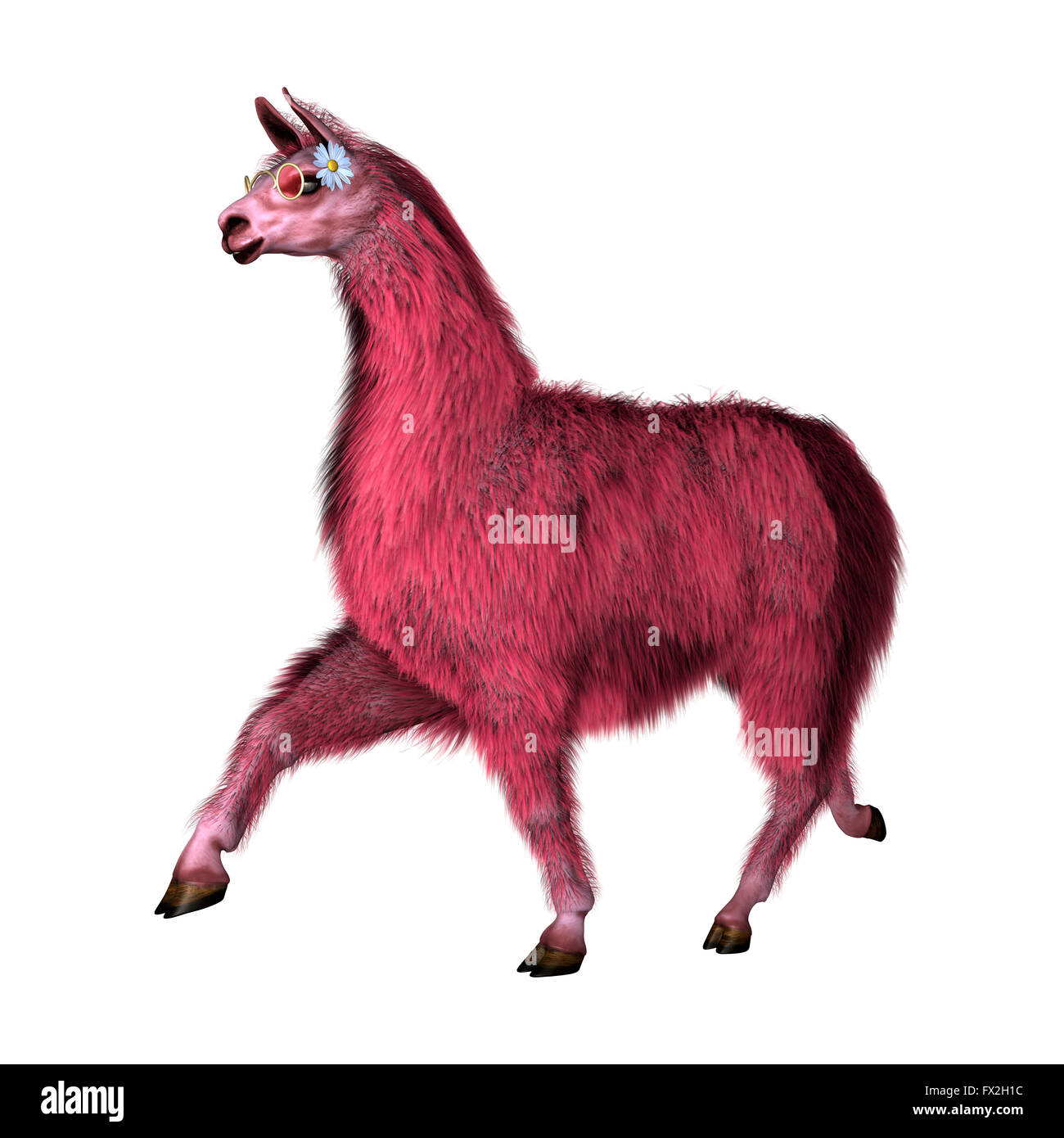 Lama trotting Banque de photographies et d’images à haute résolution ...