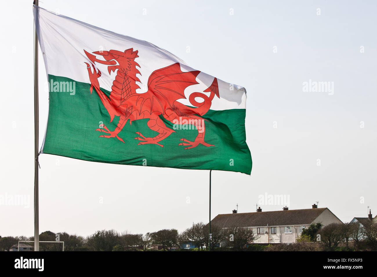 Welsh flag with red dragon flying in solva Banque de photographies et d ...