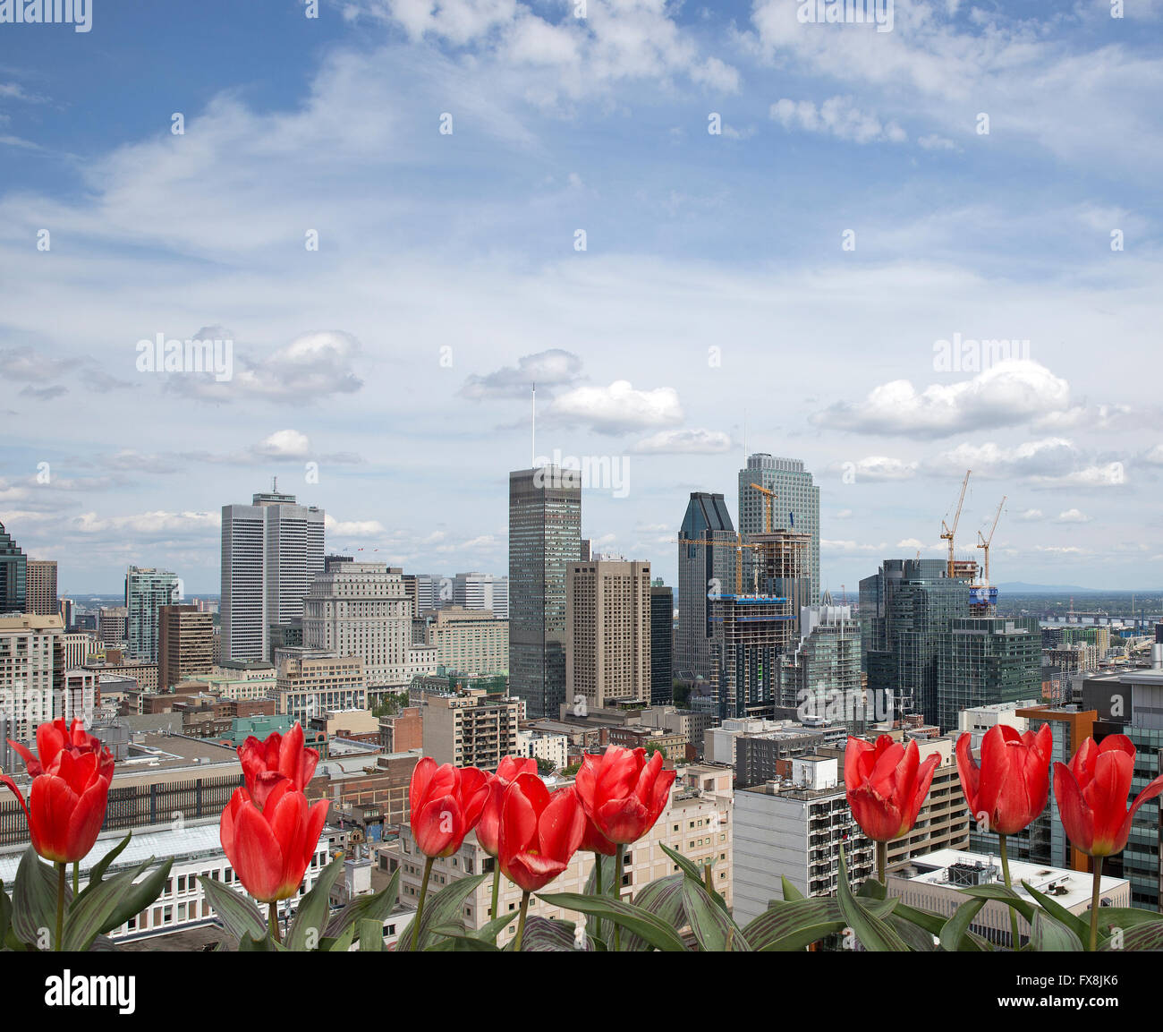 Montreal in spring Banque de photographies et d’images à haute ...