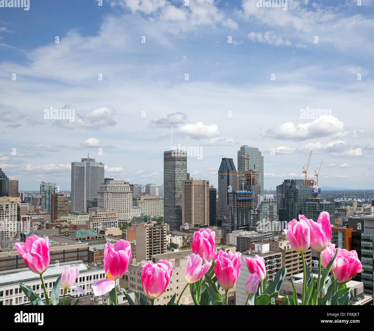 Montreal in spring Banque de photographies et d’images à haute ...