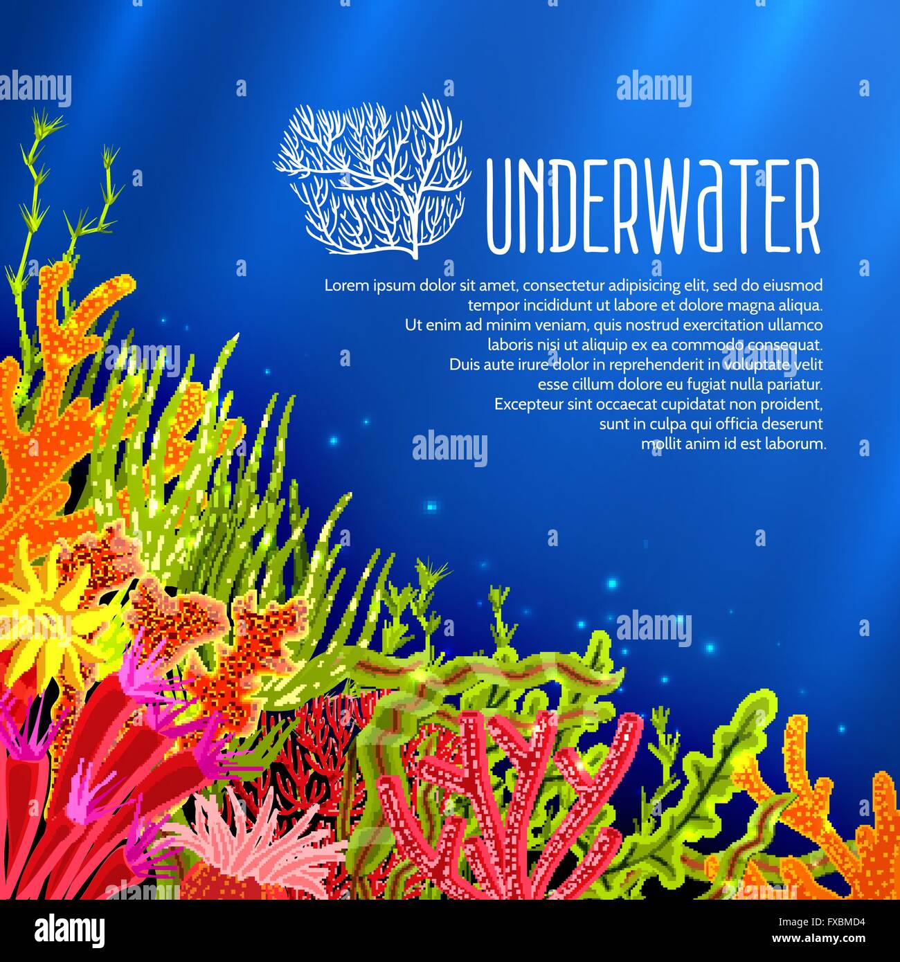 Underwater corals poster Banque de photographies et d’images à haute ...