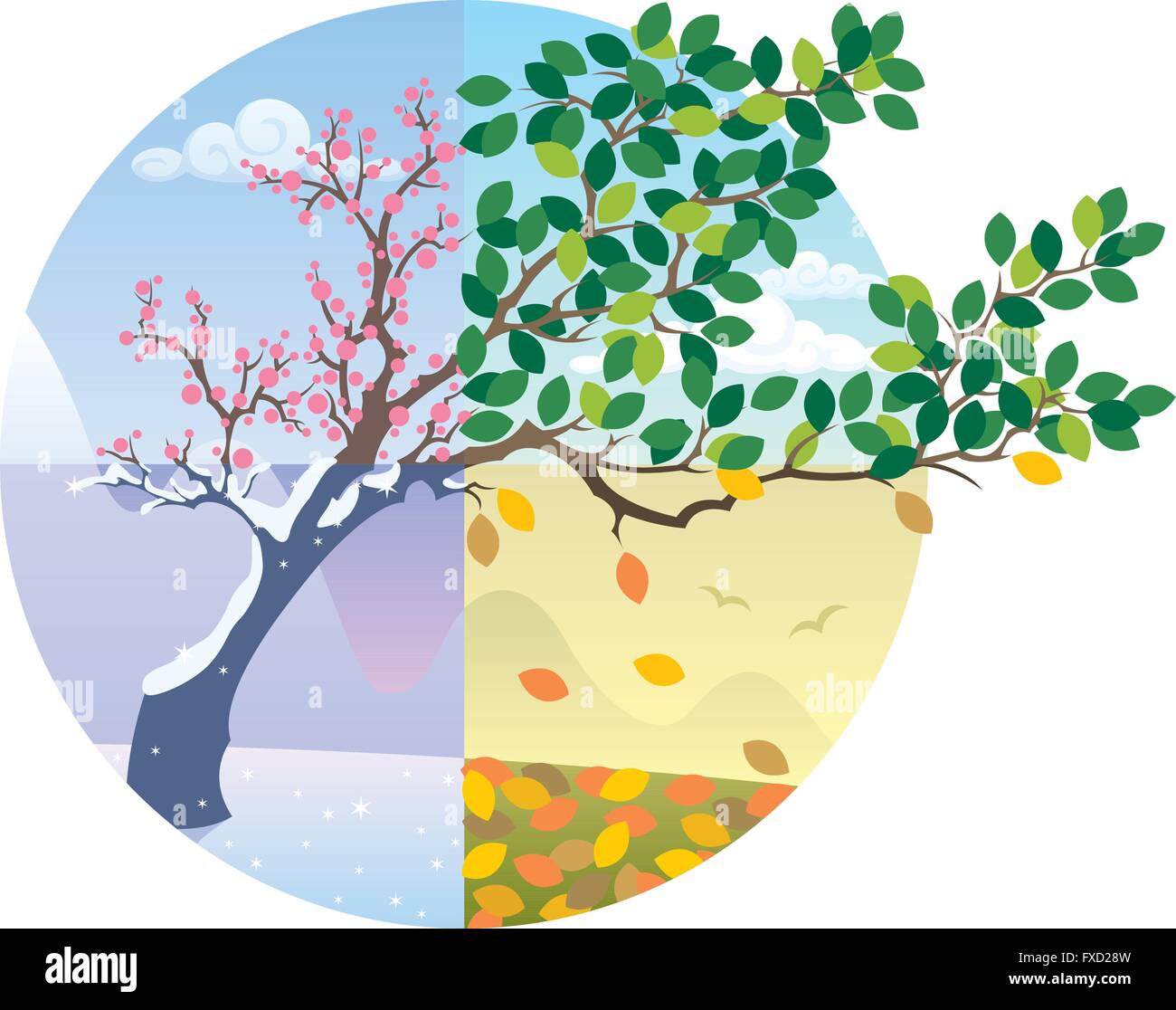 Cartoon illustration représentant le cycle des quatre saisons Image ...