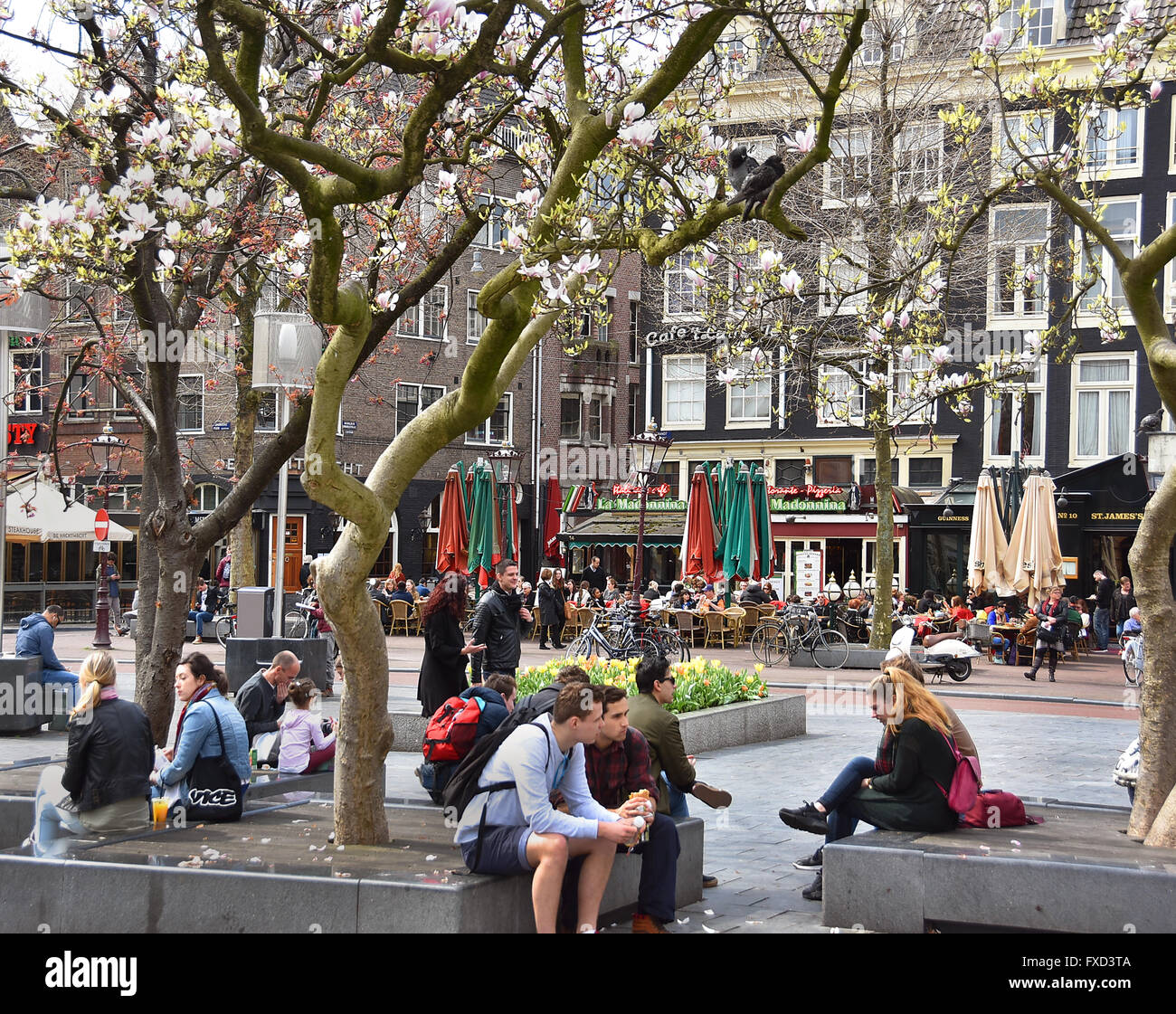 Rembrandtplein rembrandt square amsterdam pays bas vie nocturne et ...