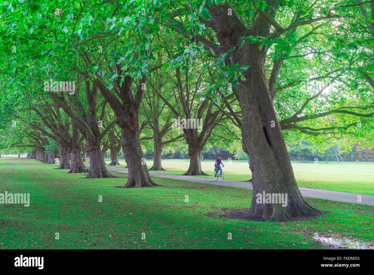 Jesus green cambridge Banque de photographies et d’images à haute ...