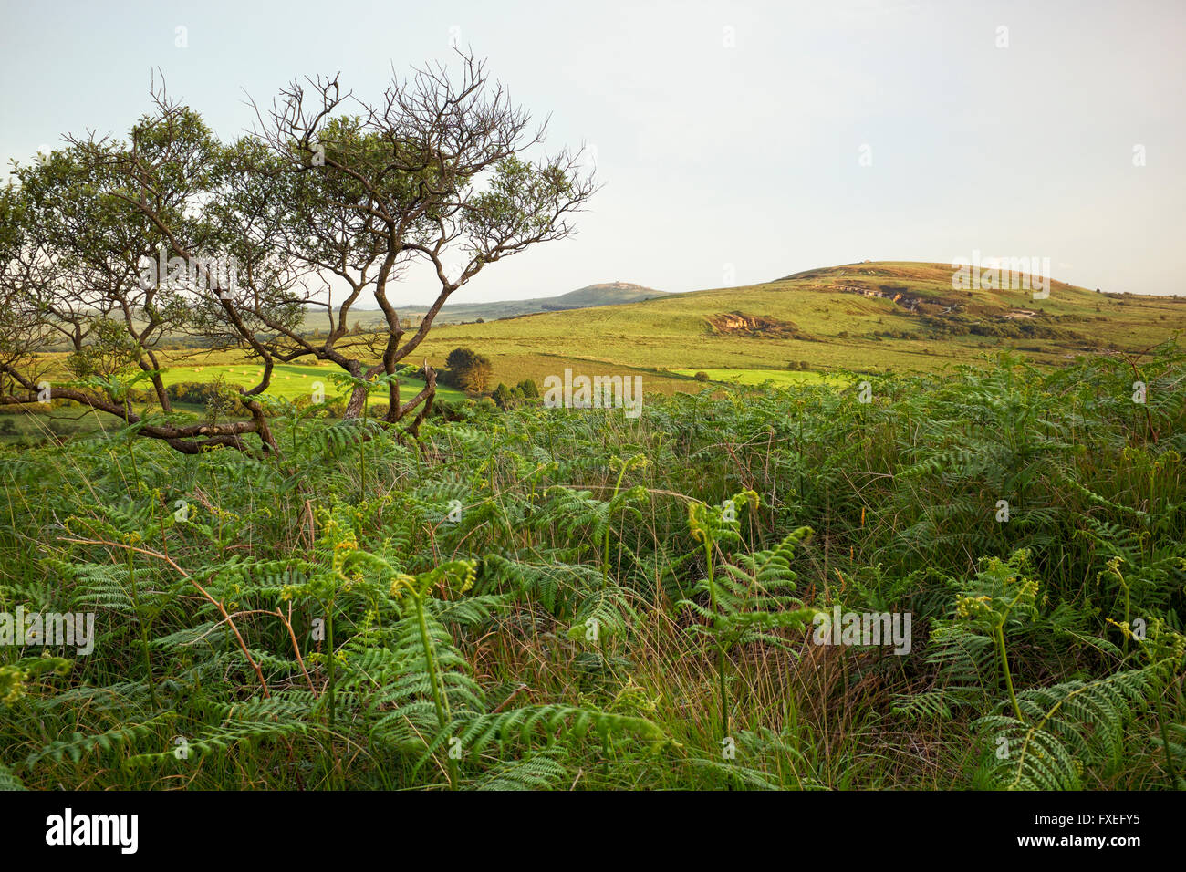 Monts darree Banque de photographies et d’images à haute résolution - Alamy