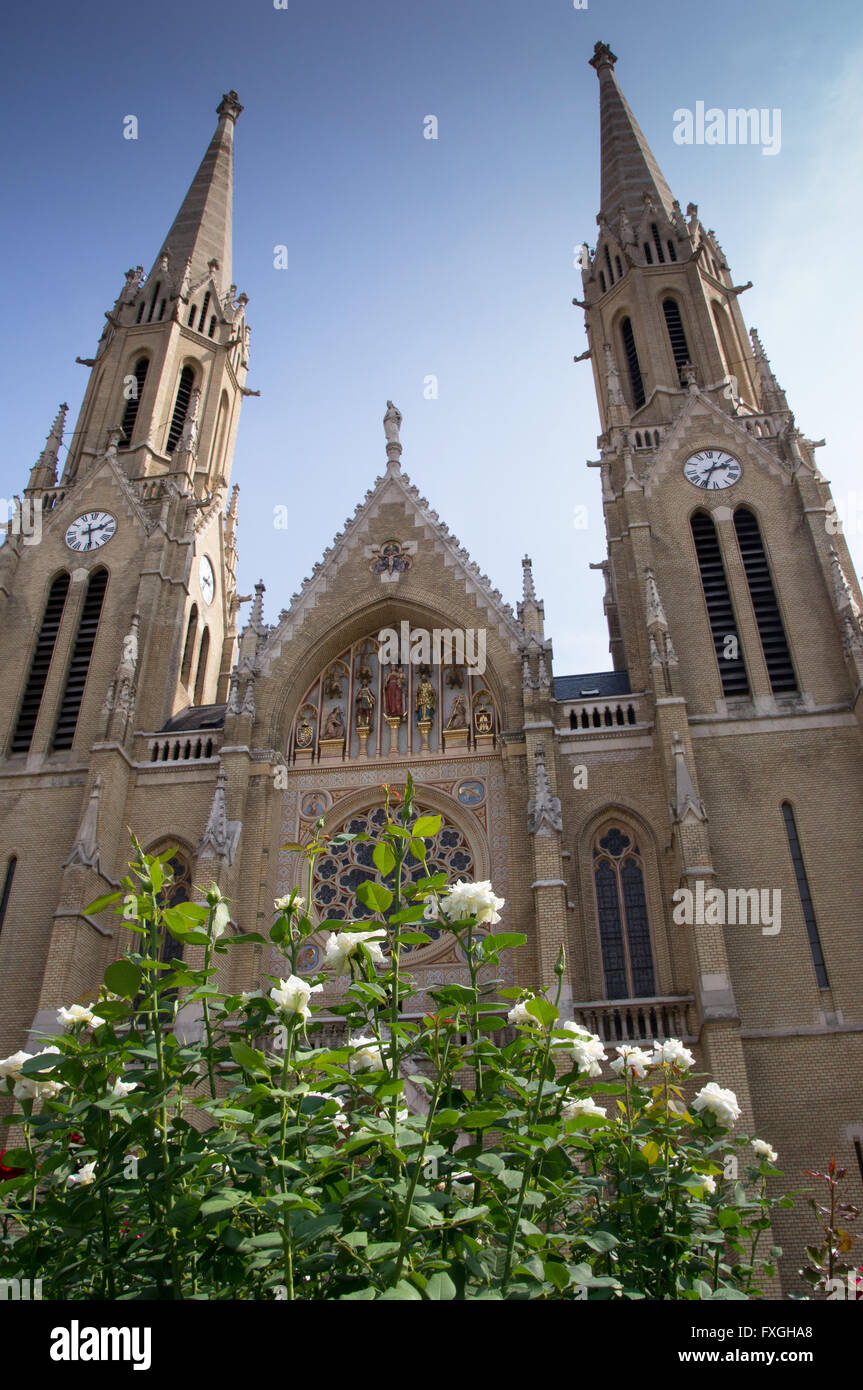 Saint elisabeth Banque de photographies et d’images à haute résolution ...