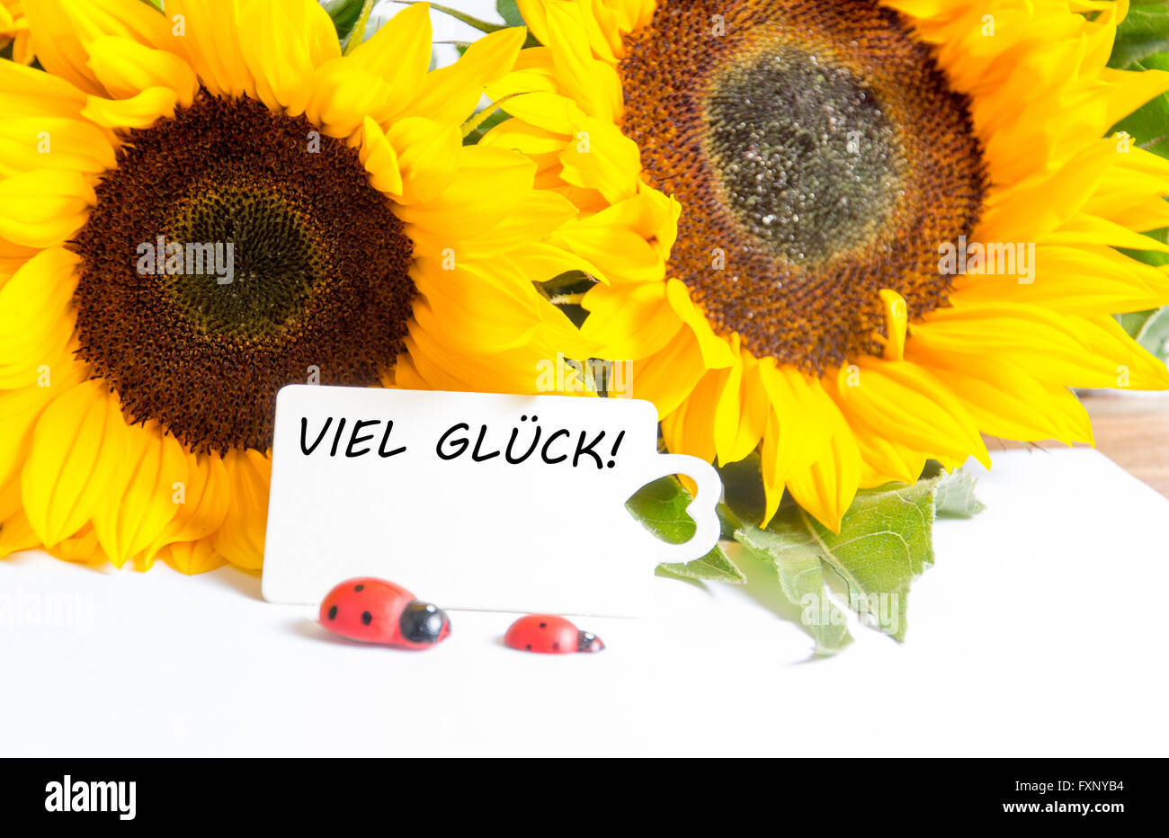 Bonne chance fleurs Banque de photographies et d’images à haute ...