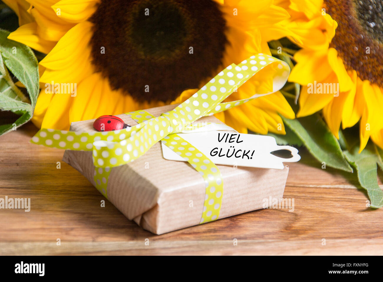 Bonne chance fleurs Banque de photographies et d’images à haute ...