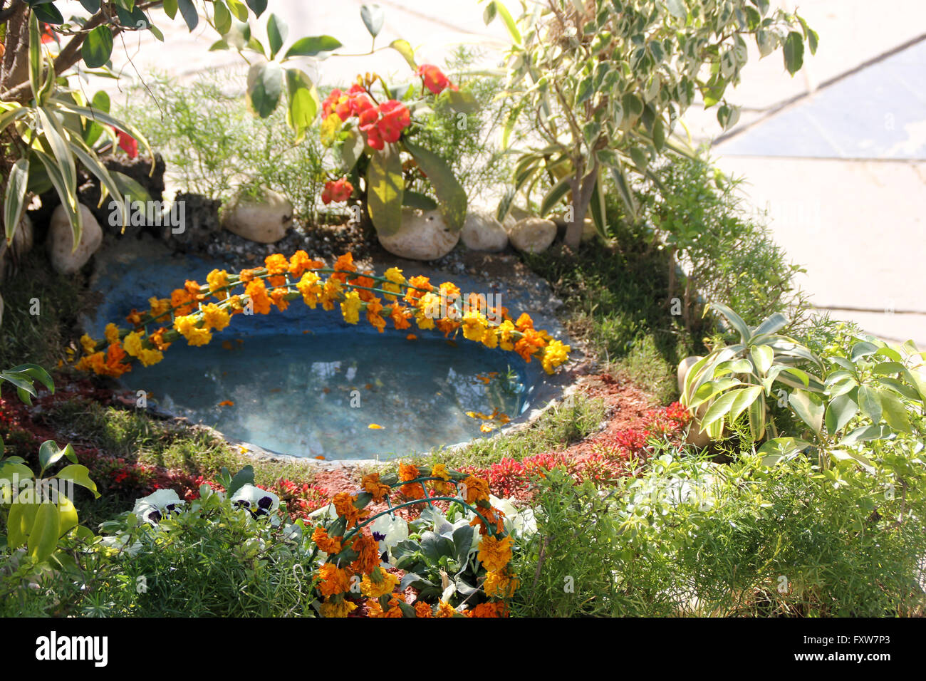 Mini charrette de jardin Banque de photographies et d’images à haute ...