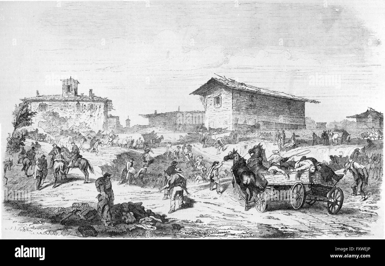 Battle of magenta Banque de photographies et d’images à haute ...