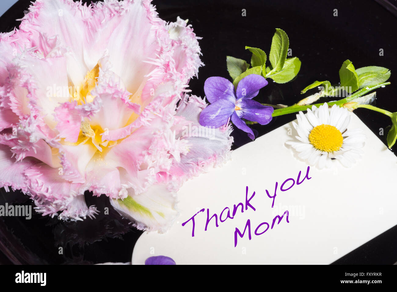 Thank you card flowers Banque de photographies et d’images à haute ...