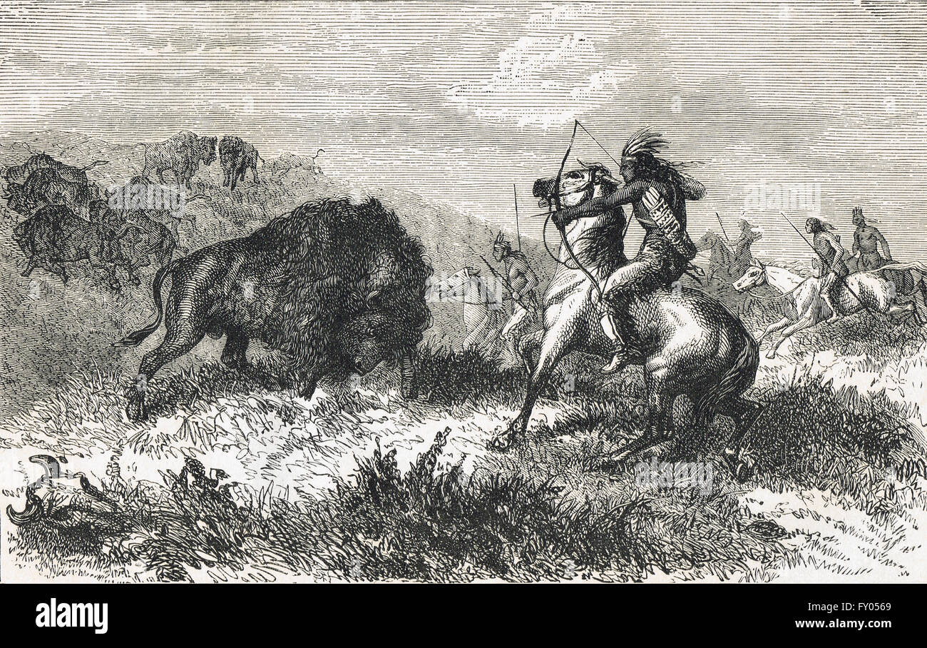 Indians hunting the bison Banque de photographies et d’images à haute ...