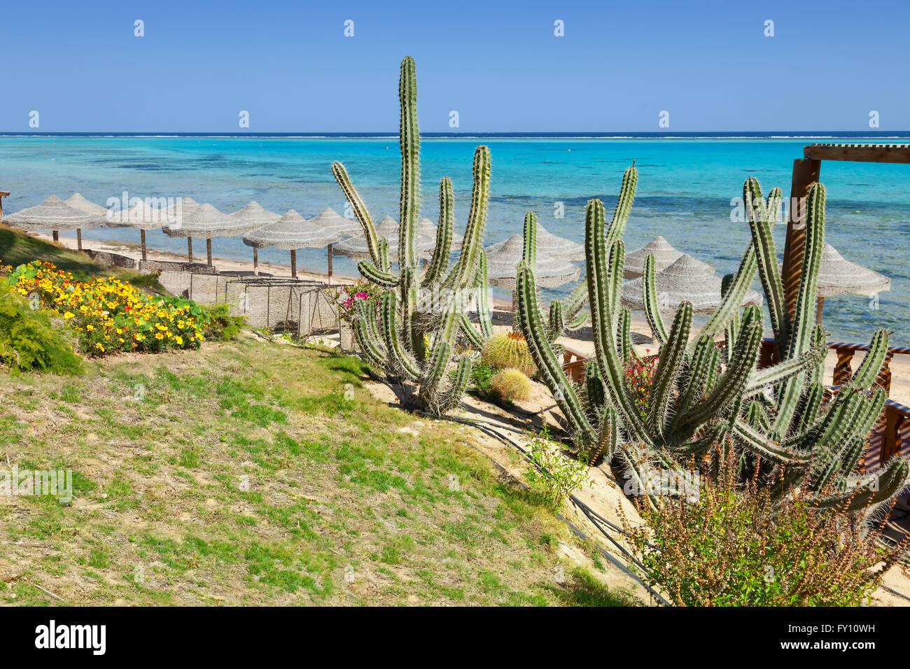 Plage et Mer à Marsa Alam, Red Sea, Egypt Photo Stock - Alamy