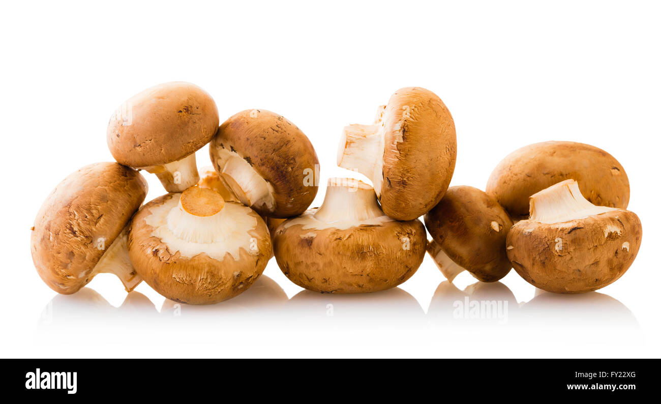 Champignons naturels Banque de photographies et d’images à haute ...